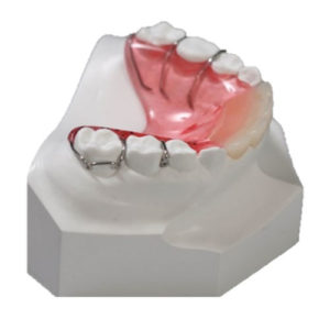 Pedo Partial – BM Ortho Appliances Inc.